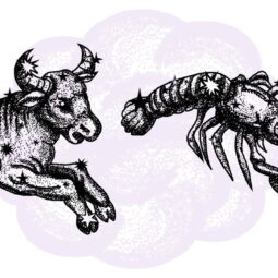 Lew - horoskop dzienny: Królewskie przewidywania na dziś - Ezotery